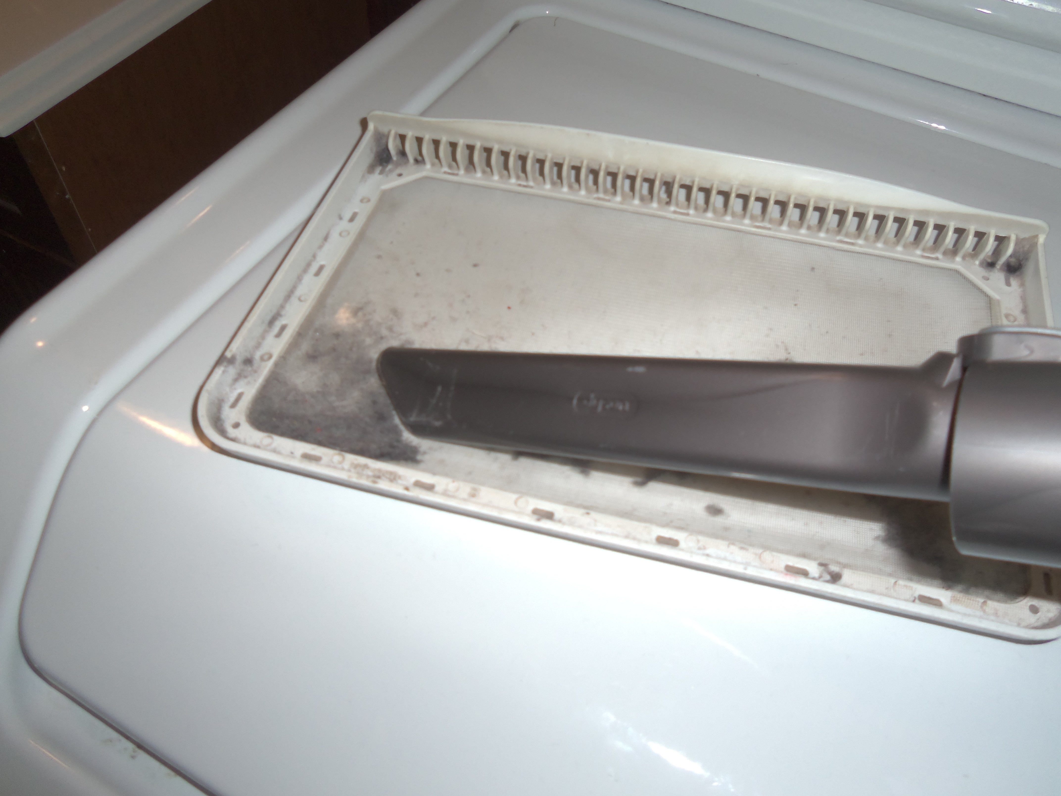 Dyson DC35-How Can I Use You-Let Me Count the Ways. . . - Frugal Upstate